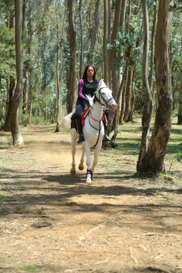 Donga Photos Photos: HD Images, Pictures, Stills, First Look Posters of ...