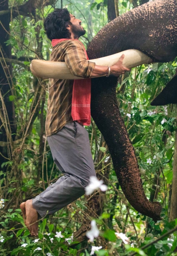 Aranya Photos: HD Images, Pictures, Stills, First Look Posters of ...