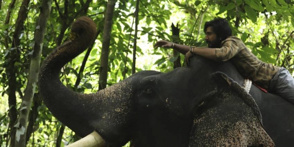 Aranya Photos: HD Images, Pictures, Stills, First Look Posters of ...