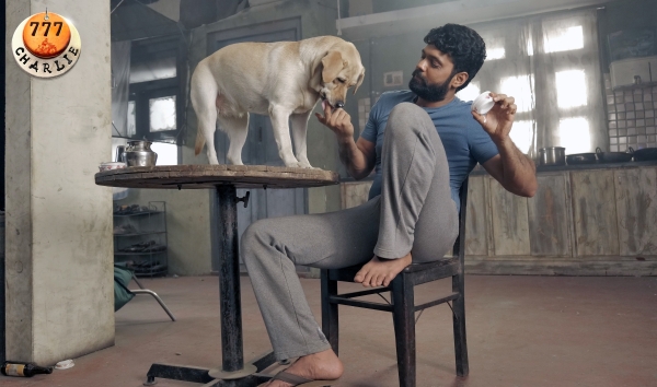 777 Charlie Photos: HD Images, Pictures, Stills, First Look Posters of ...