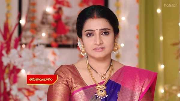 Vadinamma : దమయంతి శపధం.. వెన్నుపోటు పెండింగ్, ఎలా జరుగుతుందో ...