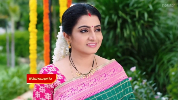 Vadinamma : శిల్ప ఇంటికి నాని ఫ్యామిలీ.. మరో స్కెచ్ వేసిన దమయంతి ...