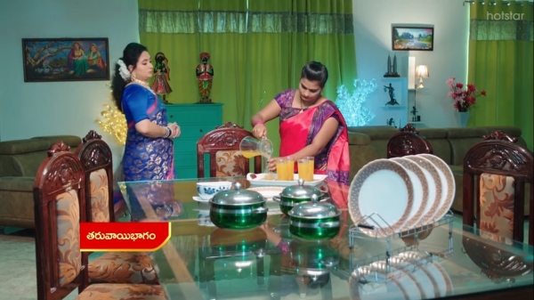 Vadinamma : శిల్ప ఇంటికి నాని ఫ్యామిలీ.. మరో స్కెచ్ వేసిన దమయంతి ...