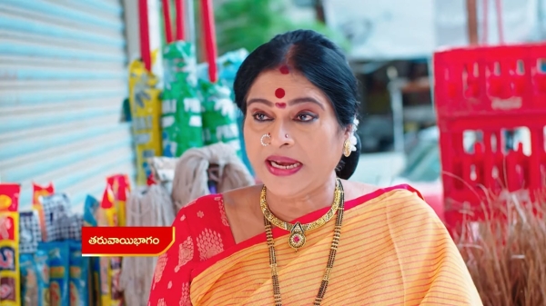 Vadinamma : పెను విధ్వంసం ప్లాన్ చేసిన పార్వతి.. అన్యాయం చేస్తారా అంటూ ...
