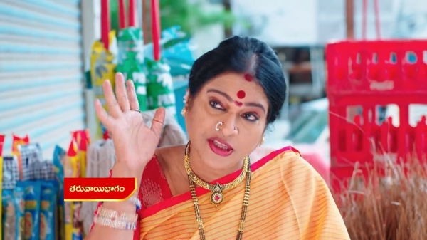 Vadinamma : పెను విధ్వంసం ప్లాన్ చేసిన పార్వతి.. అన్యాయం చేస్తారా అంటూ ...