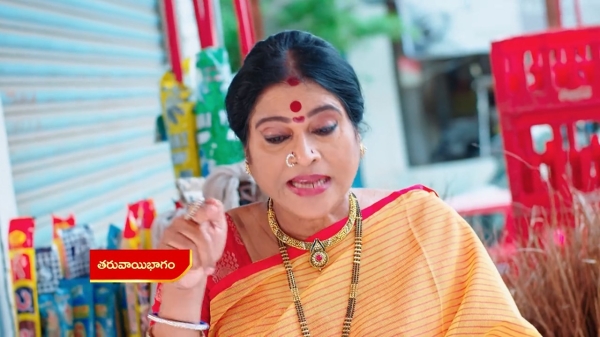 Vadinamma : పెను విధ్వంసం ప్లాన్ చేసిన పార్వతి.. అన్యాయం చేస్తారా అంటూ ...