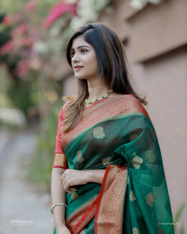 Serial Actress Ashwathy Ash Looking Gorgeous In Saree | സാരിയില് ...