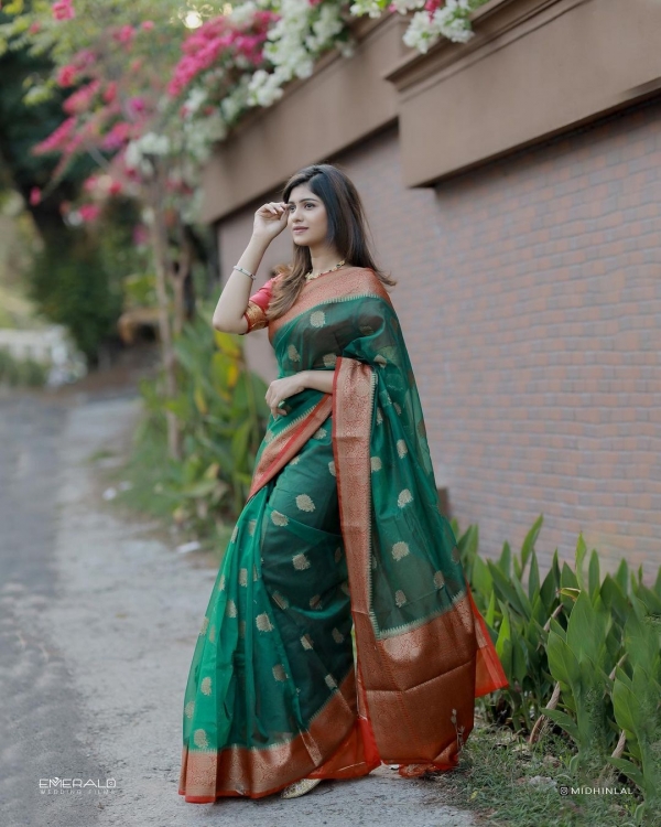 Serial Actress Ashwathy Ash Looking Gorgeous In Saree | സാരിയില് ...