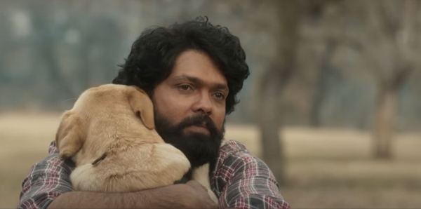 777 Charlie Photos: HD Images, Pictures, Stills, First Look Posters of ...