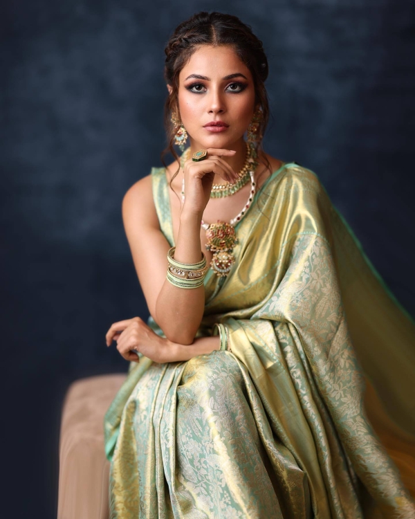 Shehnaaz Gill Is A Sight To Behold As She Walks The Red Carpet Of ...