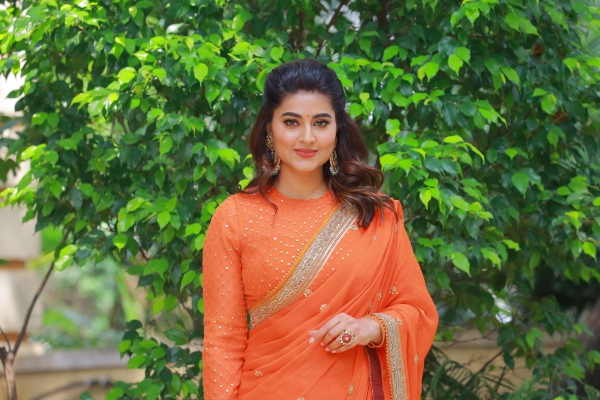 Sneha వయసు పెరిగిన వన్నె తగ్గని స్నేహా.. టాలీవుడ్‌లో రీ ఎంట్రీ ...