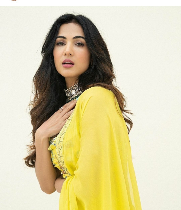 Sonal Chauhan: లెజెండ్ బ్యూటీ మళ్ళీ అదే రచ్చ.. స్టన్నింగ్ గ్లామర్ షో ...