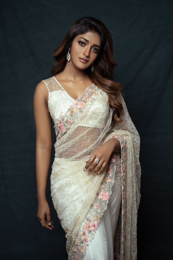 Dimple Hayathi: ఒంపుసొంపులను చూపిస్తూ డింపుల్ రచ్చ.. కిర్రాక్ ఫోజులతో ...