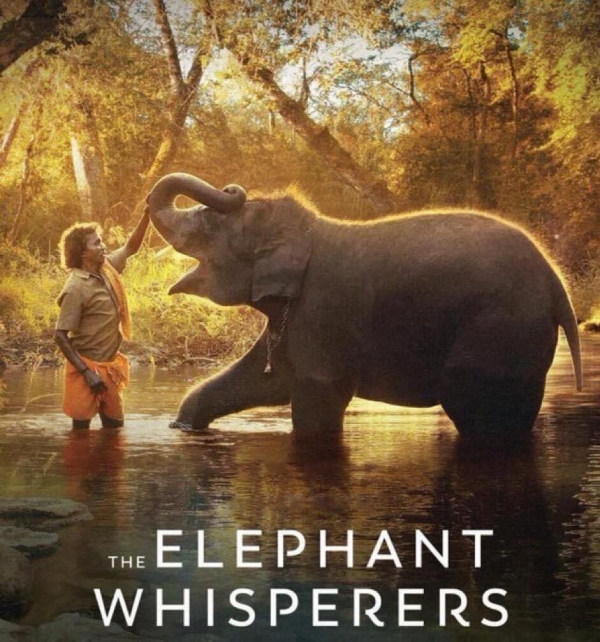 Oscars 2023: Know All About Oscar Award Winning The Elephant Whisperers ...