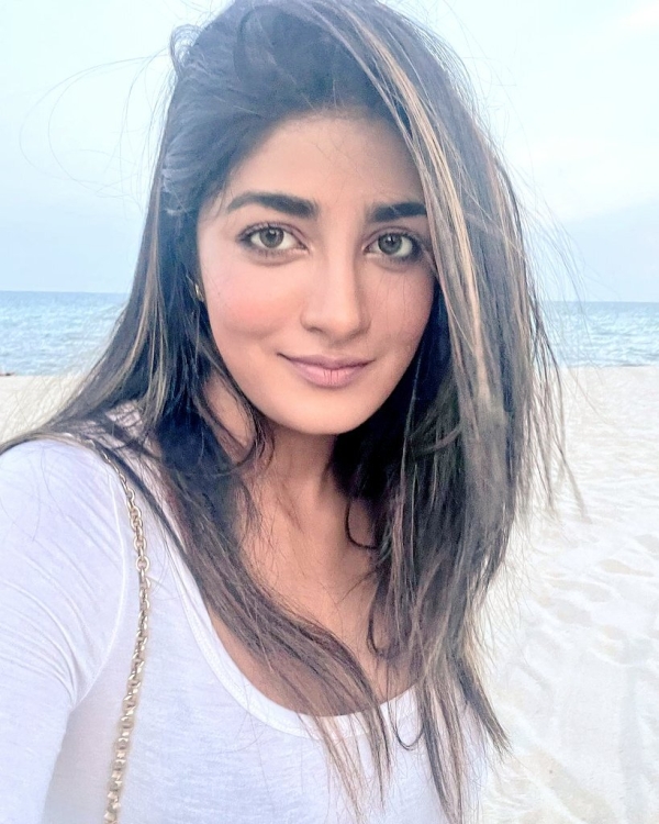 Dimple Hayathi: మతి పోగొట్టేలా డింపుల్ షో.. తెలుగు పిల్ల అందానికి ఫిదా ...