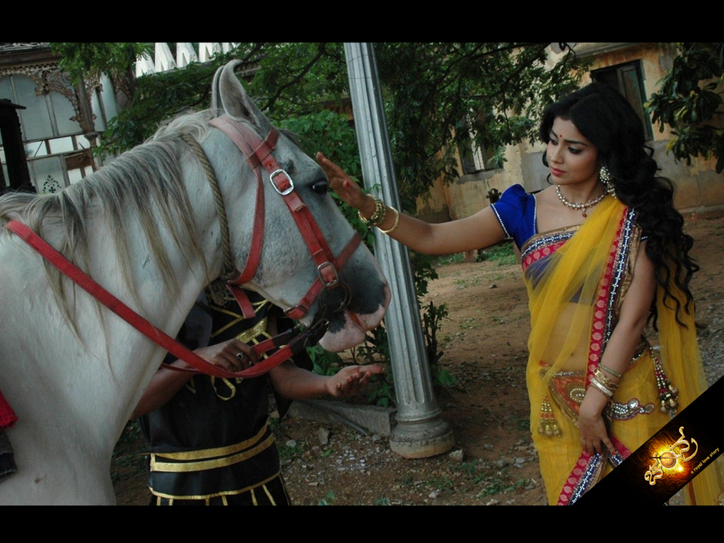 Chandra Fan Photos | Chandra Photos, Images, Pictures # 19143 - FilmiBeat