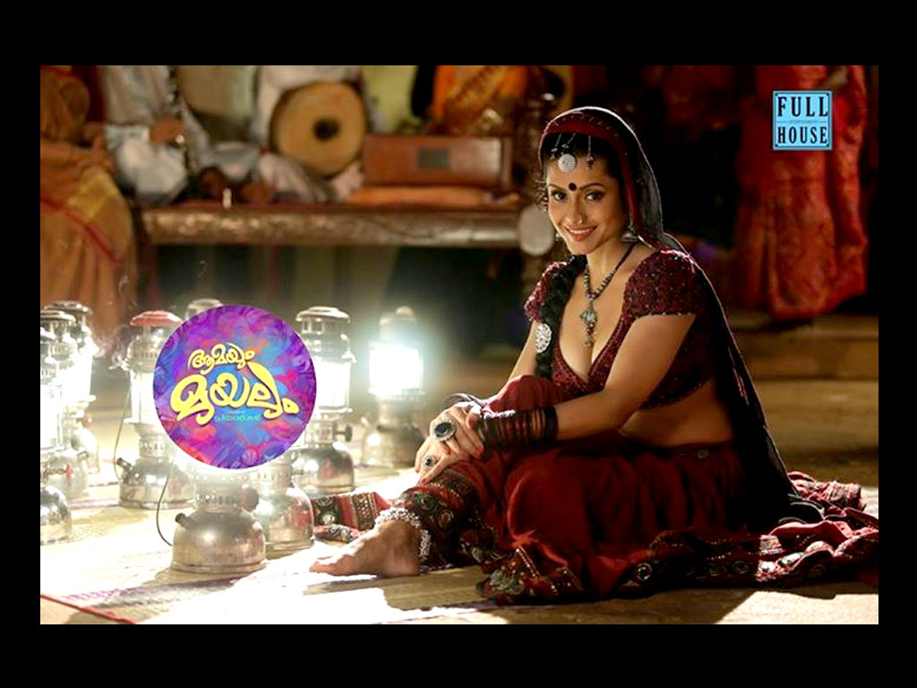 Aamayum Muyalum Story, Aamayum Muyalum Movie Story, Plot, Synopsis ...