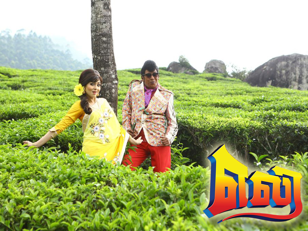 Eli (Vadivelu eli) Fan Photos | Eli Photos, Images, Pictures - FilmiBeat