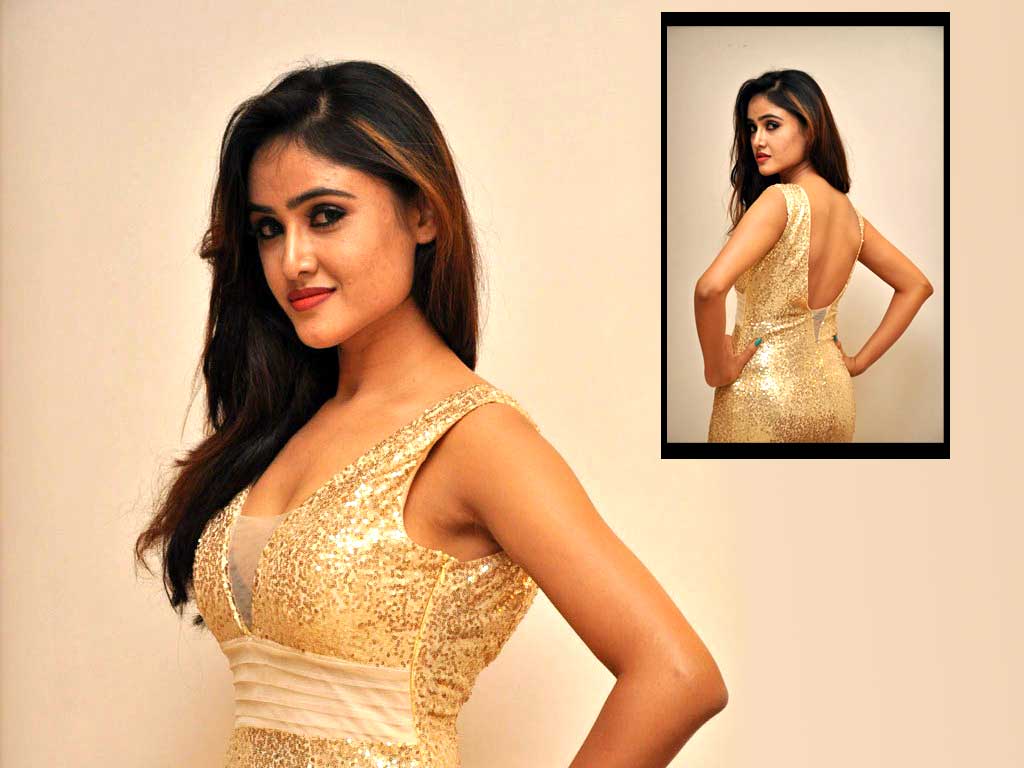 மனிஷா யாதவ் பயோடேட்டா | Manisha Yadav Biography in Tamil - Filmibeat Tamil