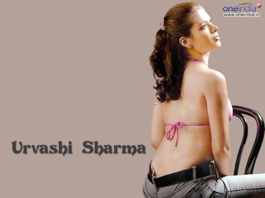 Urvashi Sharma In Saree