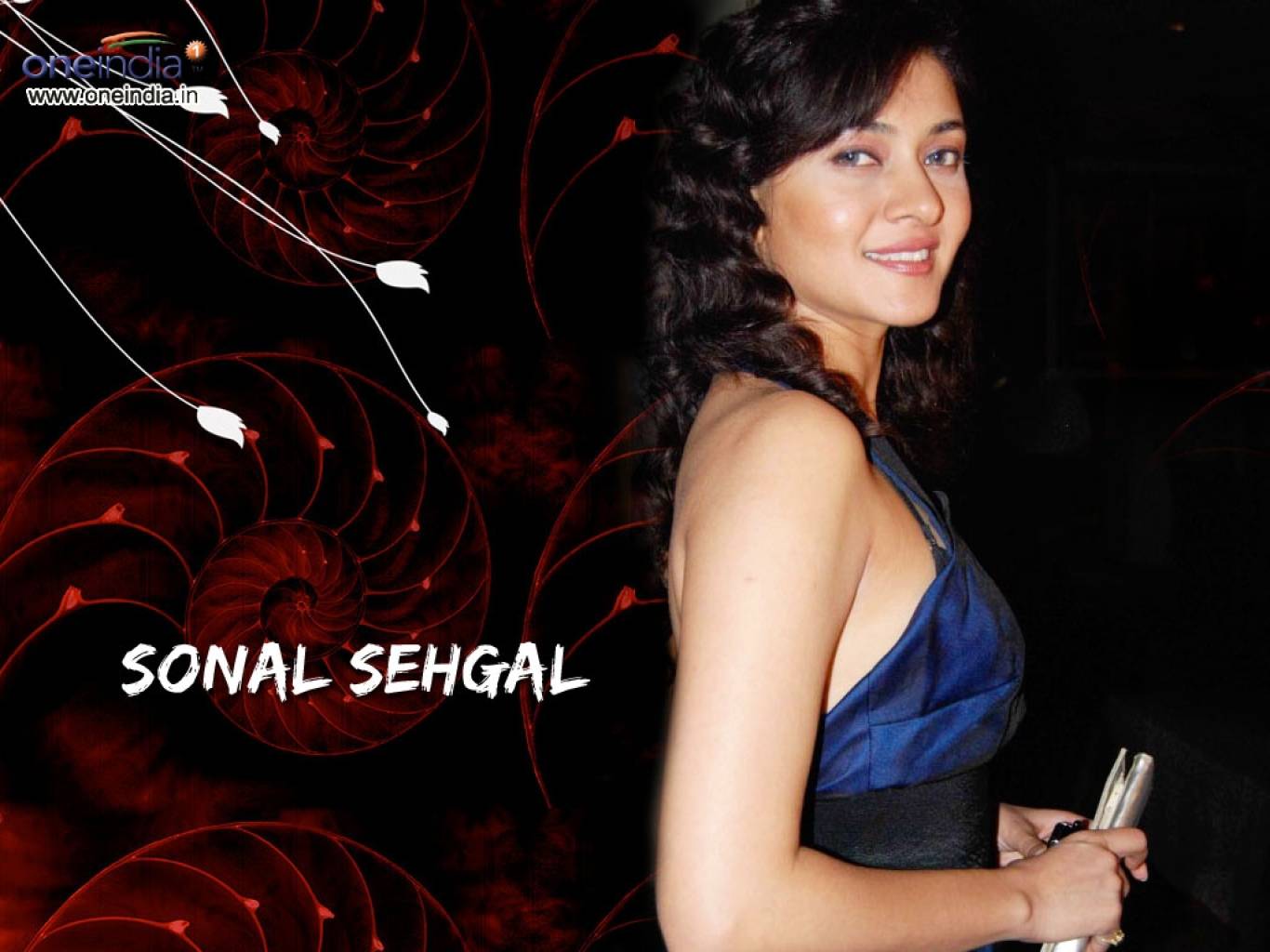 Sonal Sehgal HD Wallpapers | Latest Sonal Sehgal Wallpapers HD Free ...