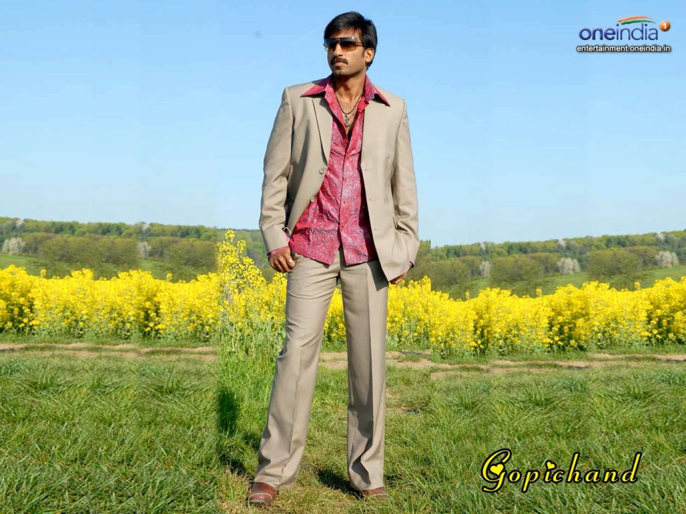 Gopichand HD Wallpapers | Latest Gopichand Wallpapers HD Free Download ...
