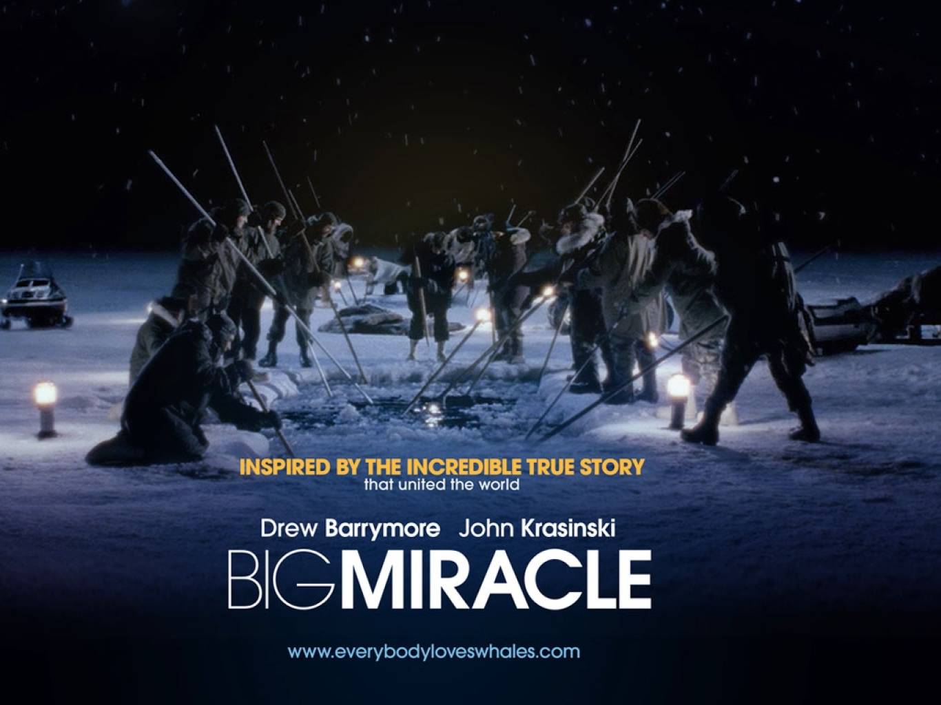 Big Miracle Movie HD Wallpapers | Big Miracle HD Movie Wallpapers Free ...