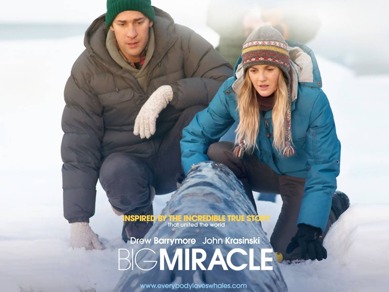 Big Miracle Movie HD Wallpapers | Big Miracle HD Movie Wallpapers Free ...