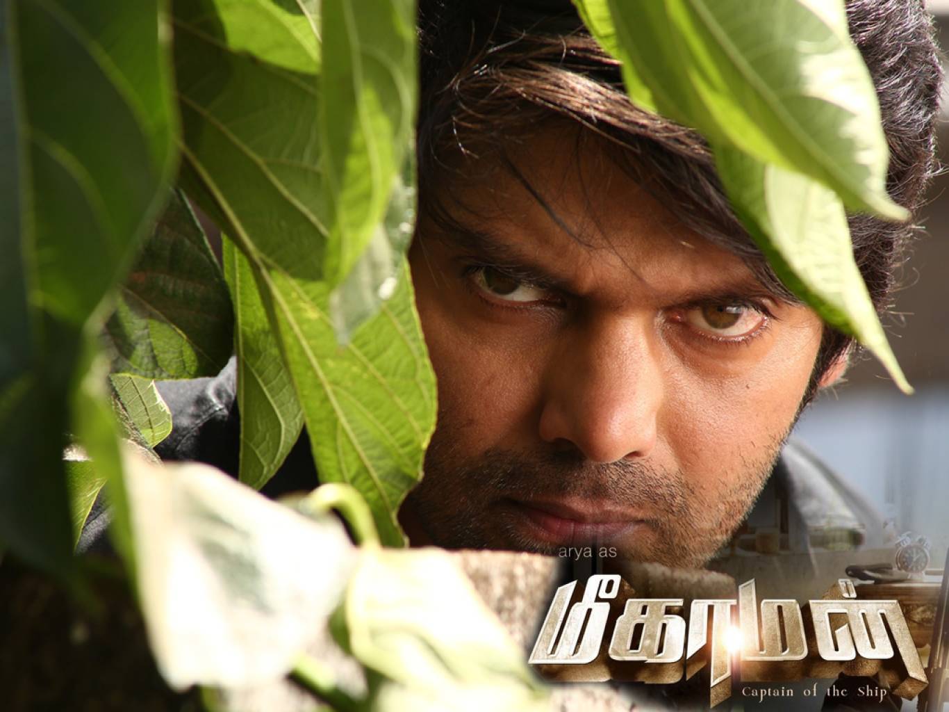 Meagamann Wallpapers Movie HD Wallpapers | Meagamann Wallpapers HD ...