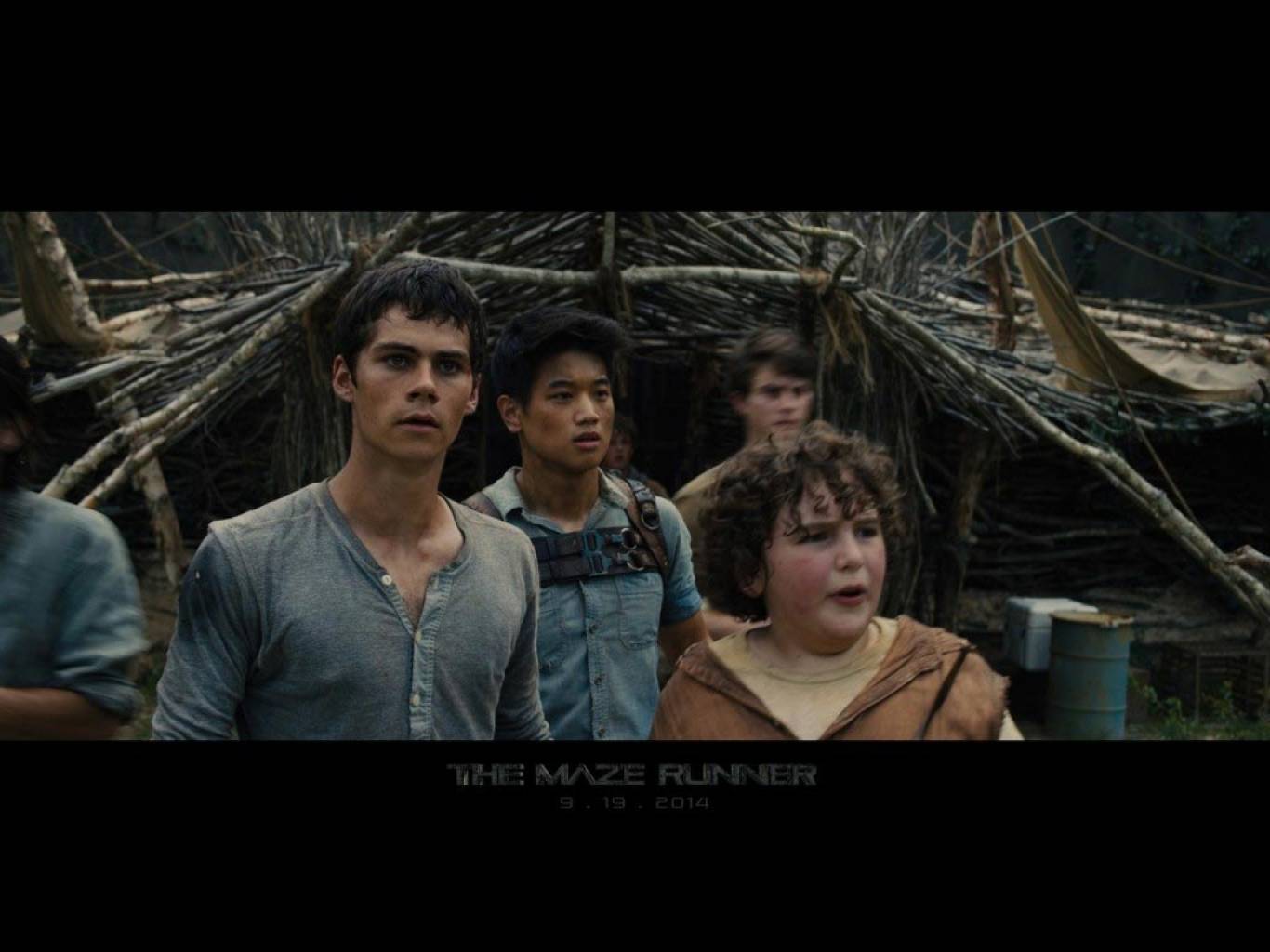 The Maze Runner Movie HD Wallpapers | The Maze Runner HD Movie ...